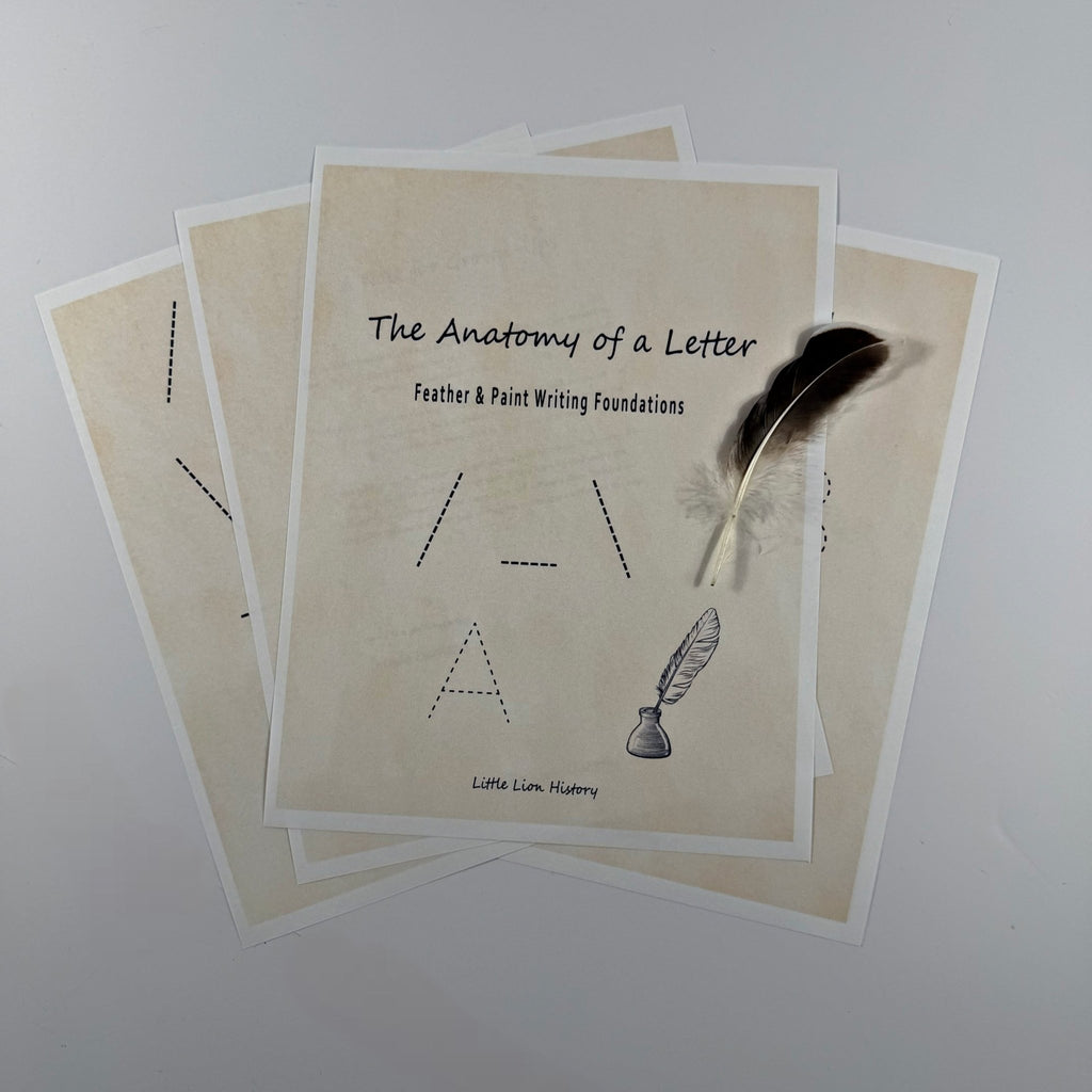 History boxes – littlelionhistory